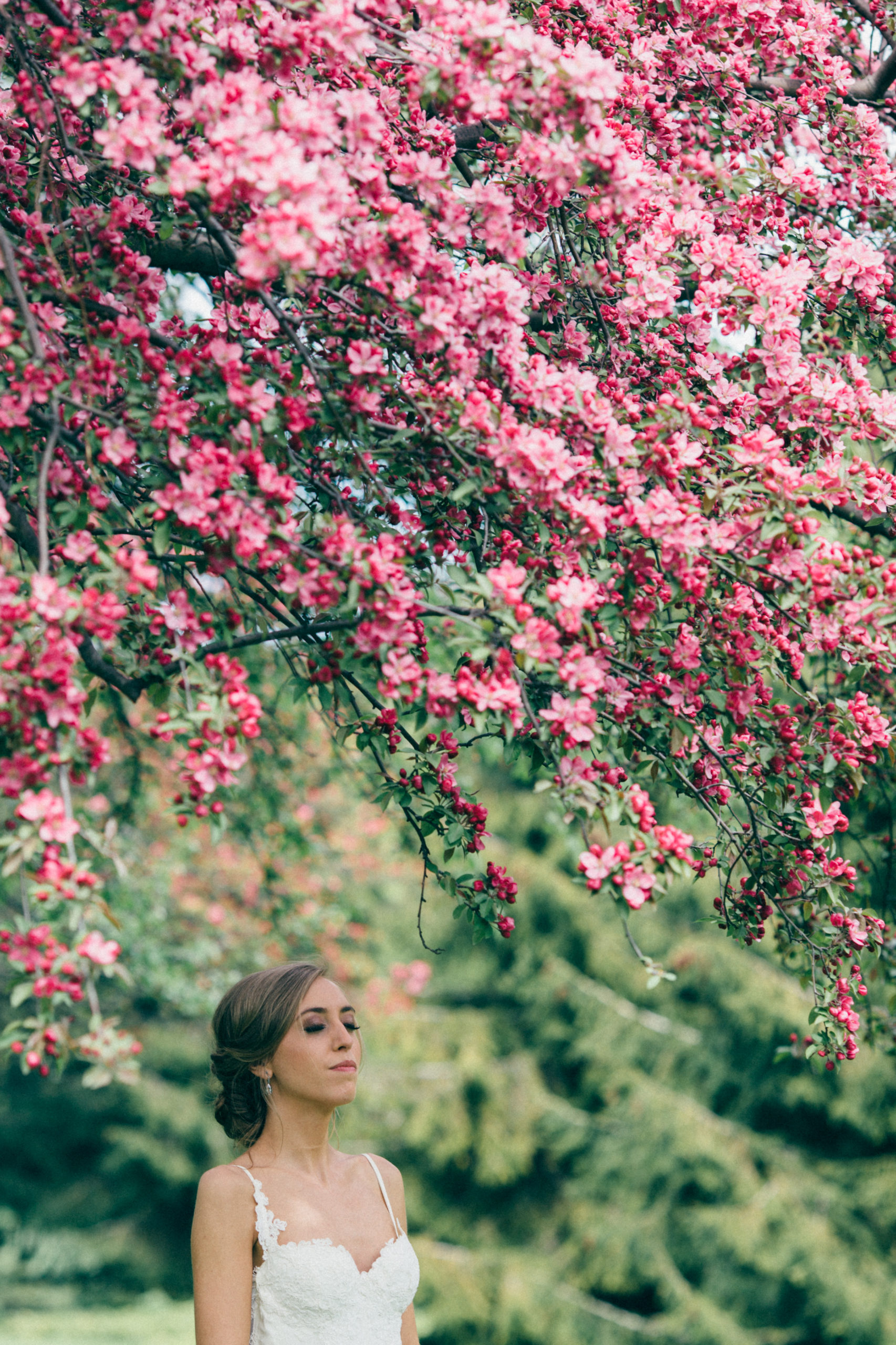 JessicaLittlePhotography-100 - Jess Little