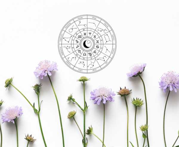 The 5 Love Languages: How to Show Love to Every Zodiac Sign - Jess Little